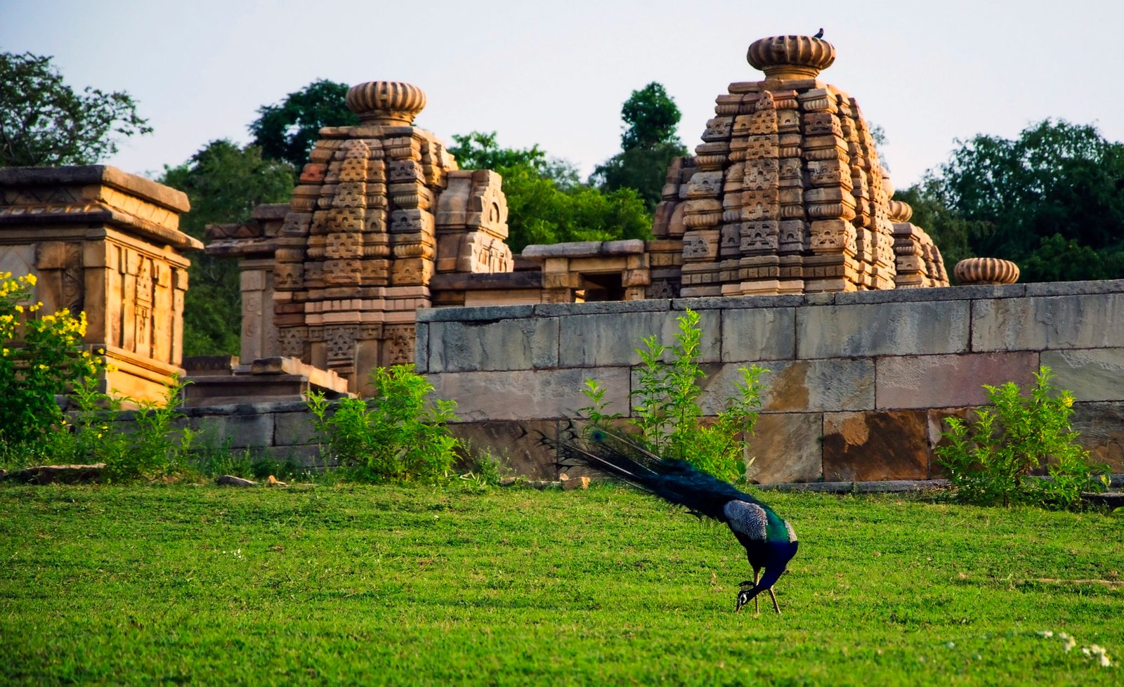 Top 6 Things To Do in Gwalior India: An Essential Travel Guide ...